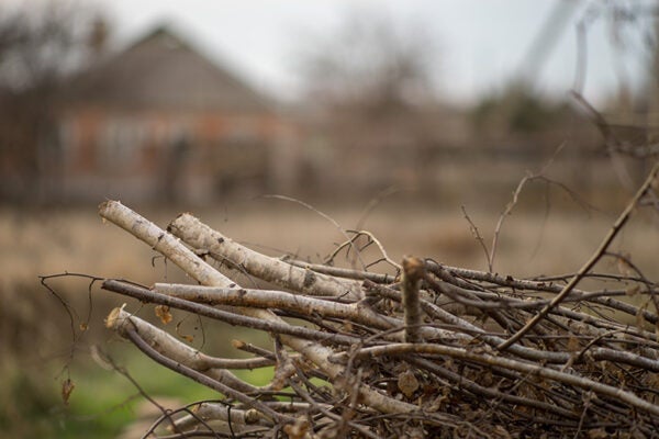 Spring/Fall Tree-Limb Collection -City of Wentzville